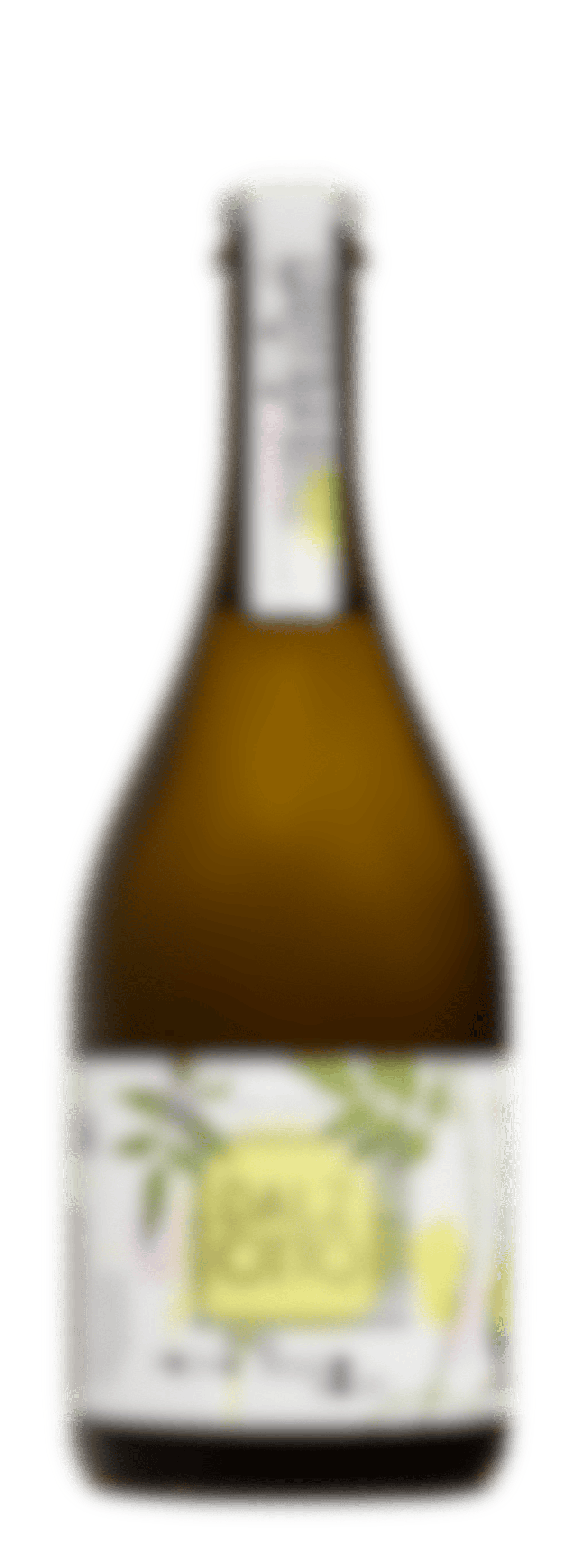Dal Zotto Wines | Homepage